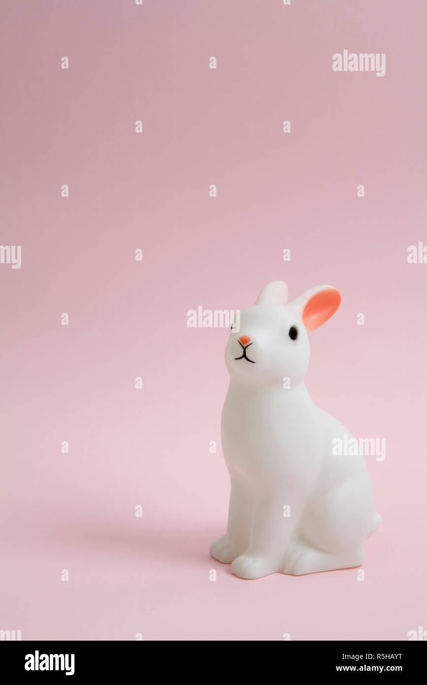 Rabbit project hi-res stock photography and images - Alamy