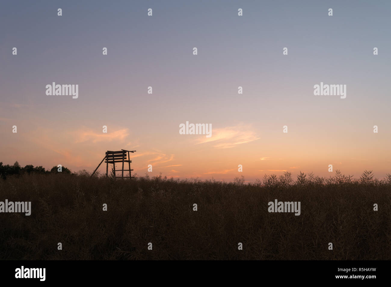 Wooden watchtower located in a field during sunset Stock Photo - Alamy
