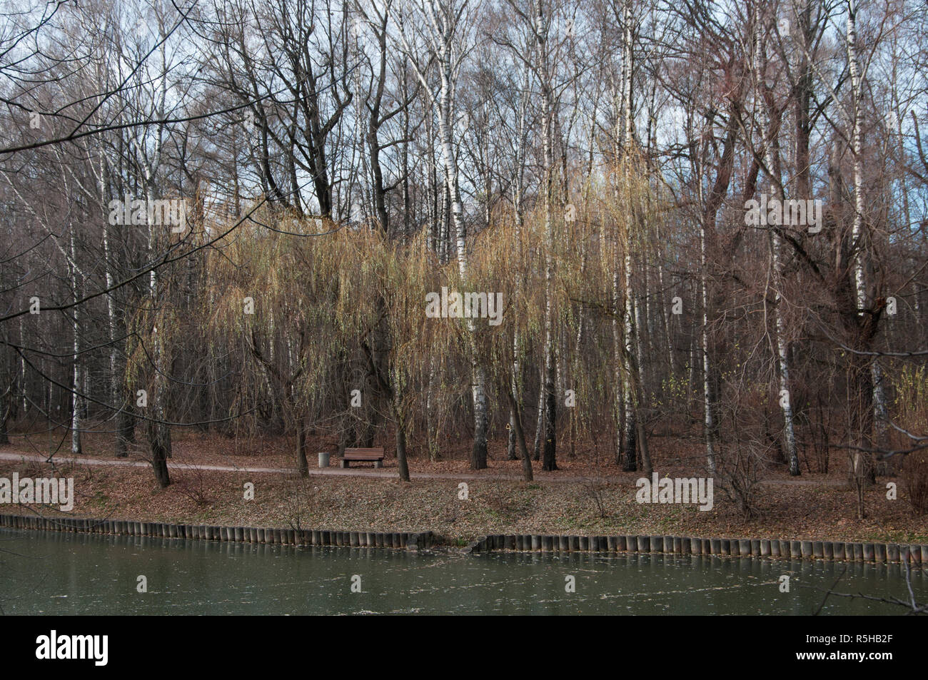 Autumn landscape in Sokolniki park in Moscow, Russia Stock Photo - Alamy