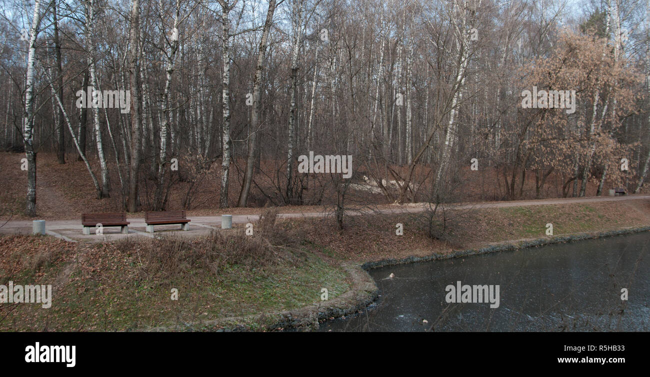 Autumn landscape in Sokolniki park in Moscow, Russia Stock Photo - Alamy