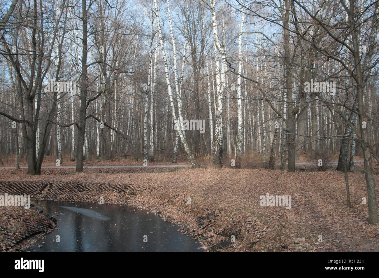 Autumn landscape in Sokolniki park in Moscow, Russia Stock Photo - Alamy