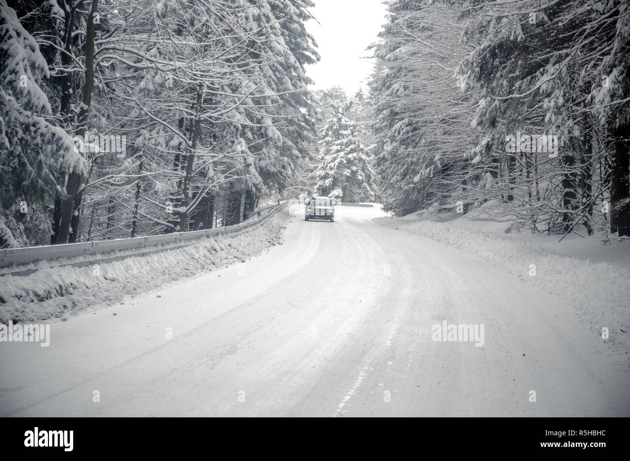 Beautiful pine forest long road hi-res stock photography and images - Alamy