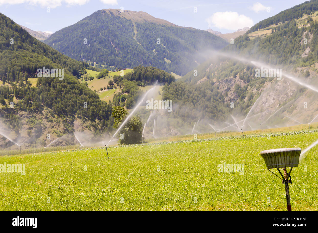 Automatic irrigation of crop fields Stock Photo - Alamy
