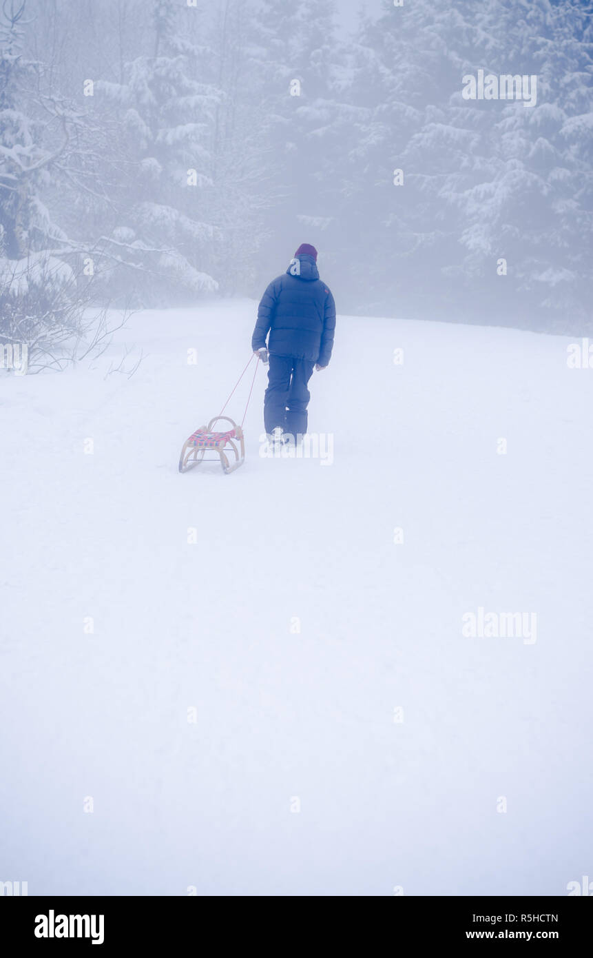 Man walking in forest fog trees hi-res stock photography and images - Alamy