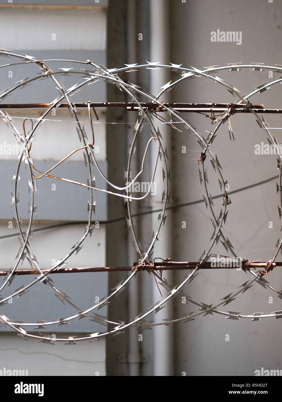 Razor wire metal mesh fence hi-res stock photography and images - Alamy