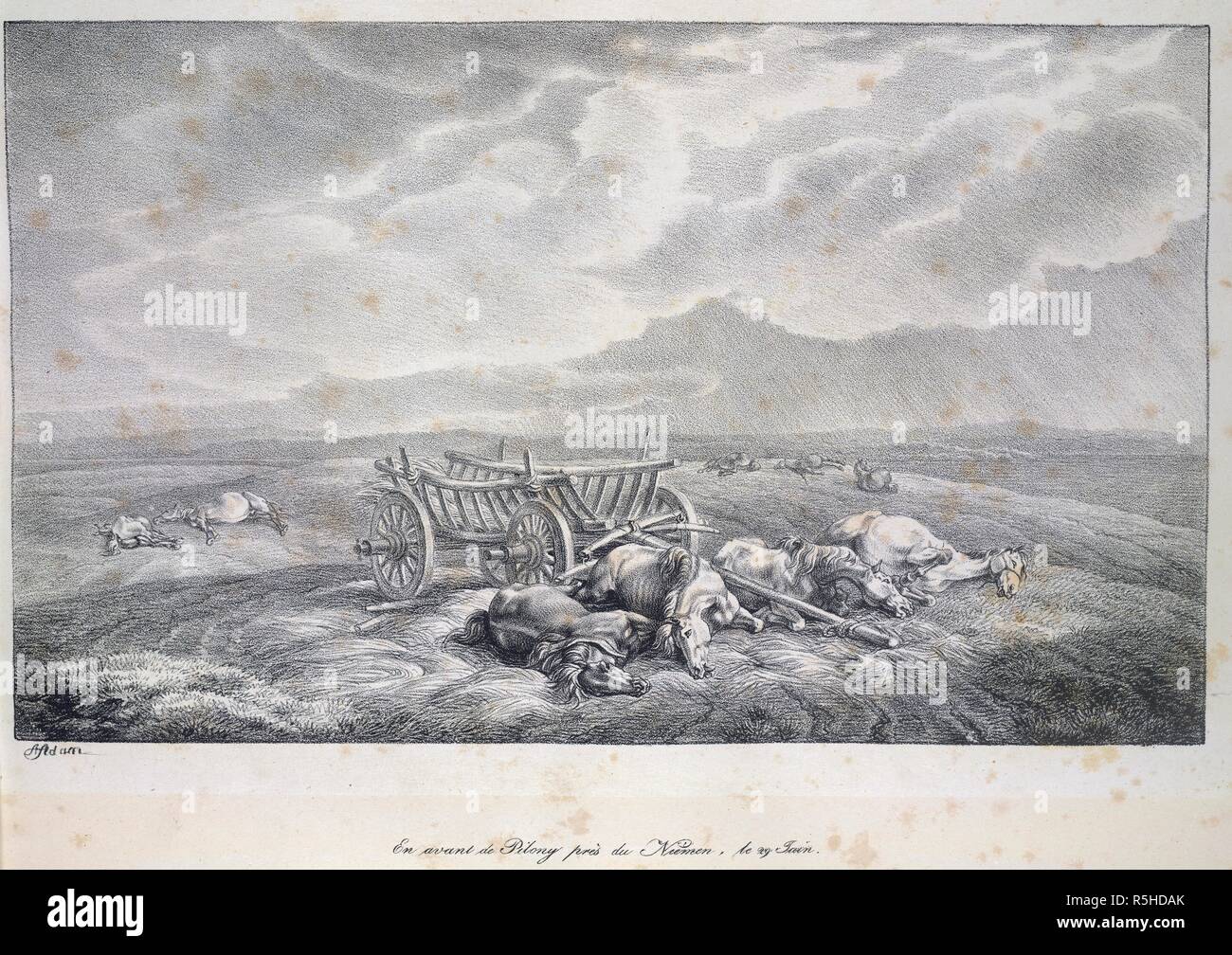 Lithographia hi-res stock photography and images - Alamy