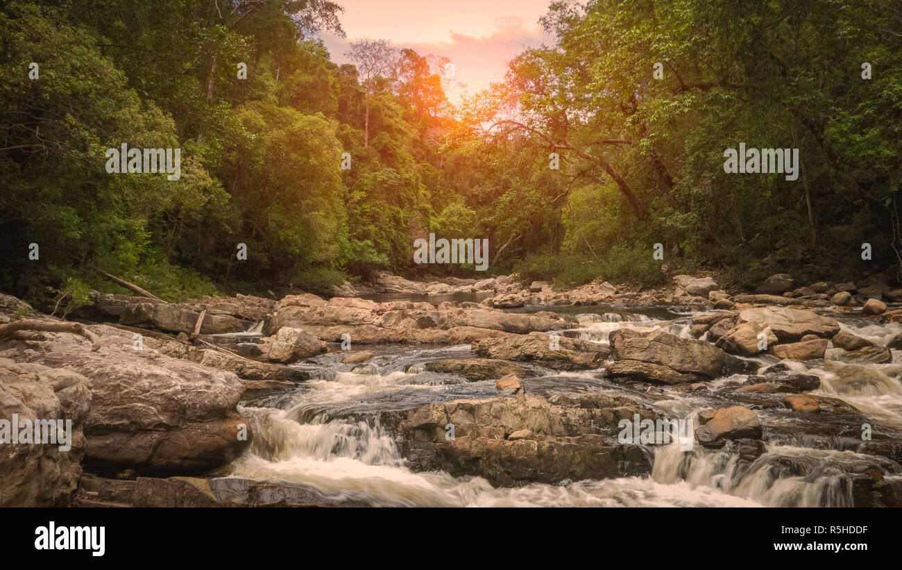 Beautiful sunset over peaceful river in a deep jungle Stock Photo - Alamy
