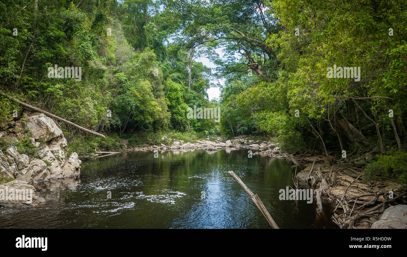 Peaceful river in deep and tropical jungle Stock Photo - Alamy