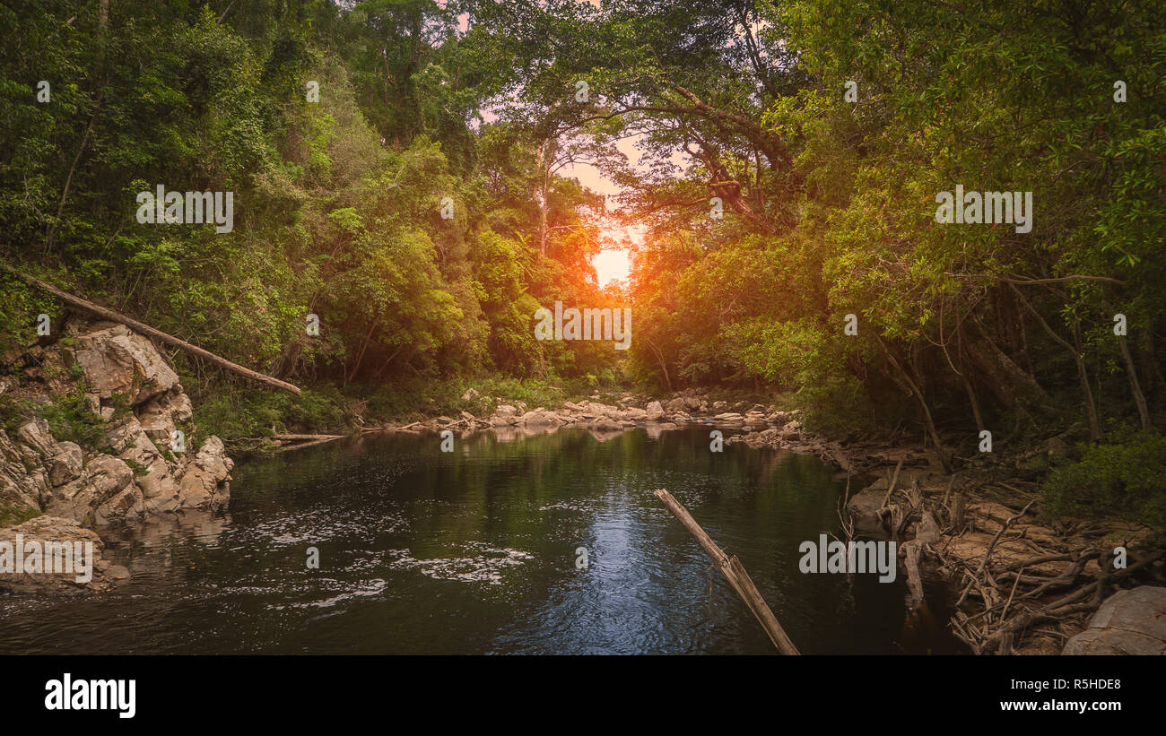 Beautiful sunset over peaceful river in a deep jungle Stock Photo - Alamy