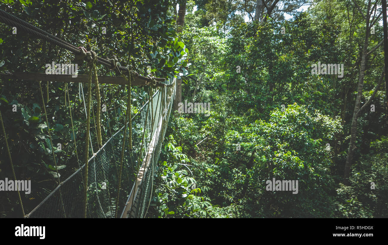 Asian jungle hi-res stock photography and images - Alamy