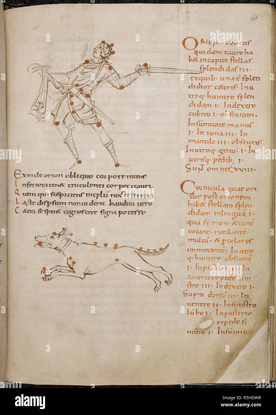 Drawing of Orion and his dog. Phaenomena (also known as the Aratea ...
