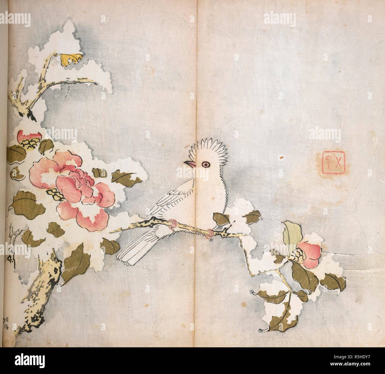 A white bird among camellias. Shi zhu zhai shu hua pu, 'Colour prints ...