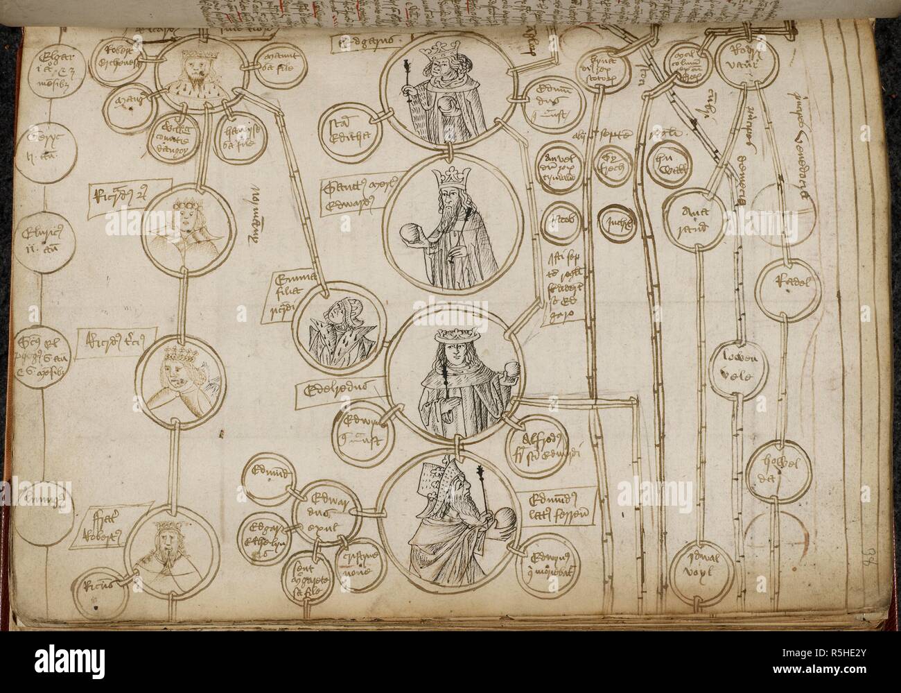 English monarchy genealogy hi-res stock photography and images - Alamy