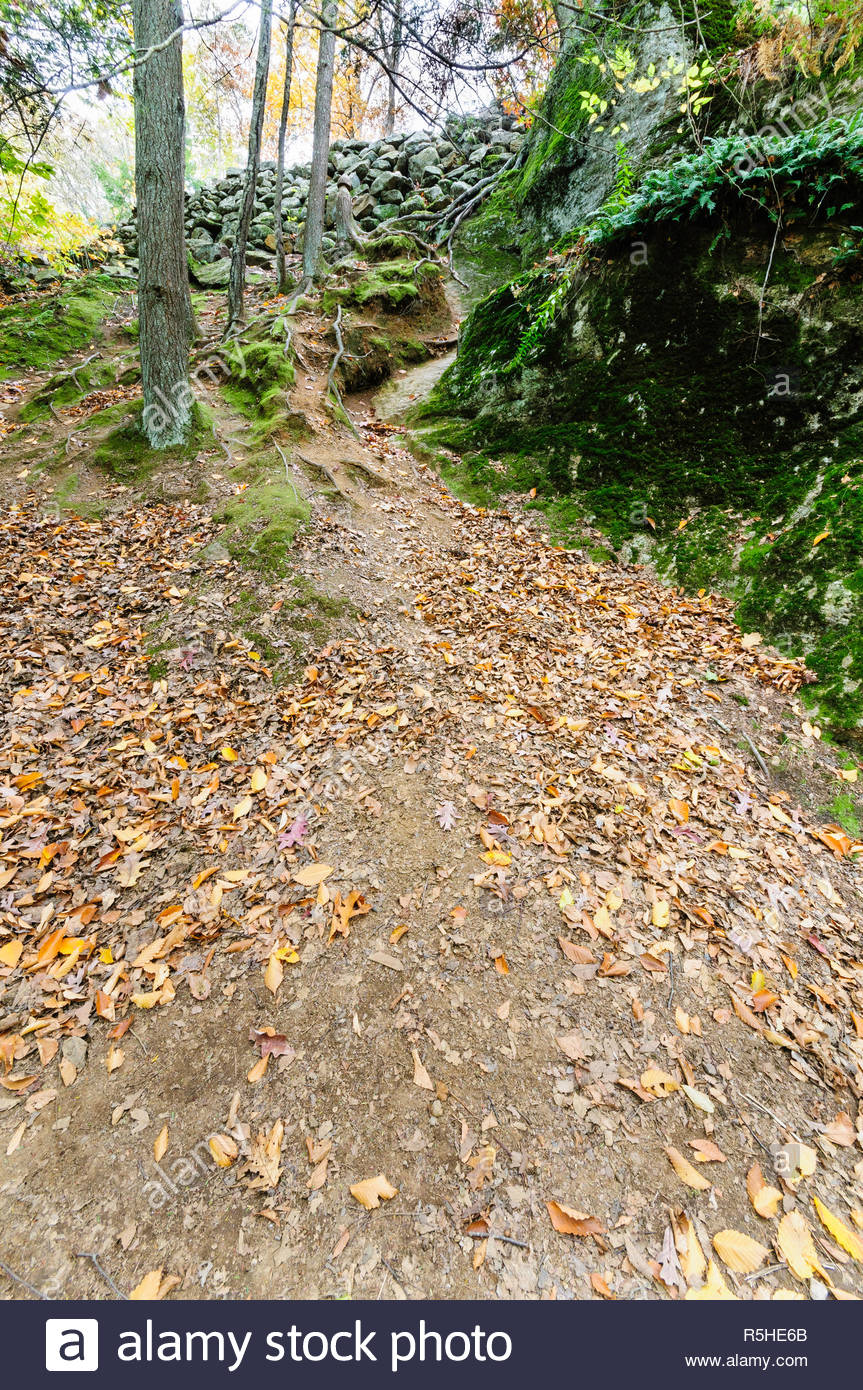 Stone Wall New England Forest Stock Photos & Stone Wall New England ...