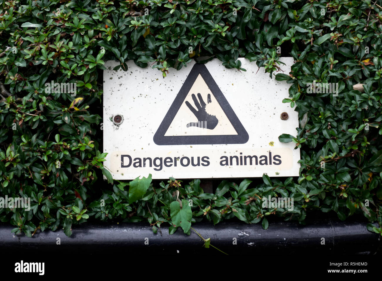 Dangerous Animals Sign 10in X 3in Animals Are Extremely Dangerous