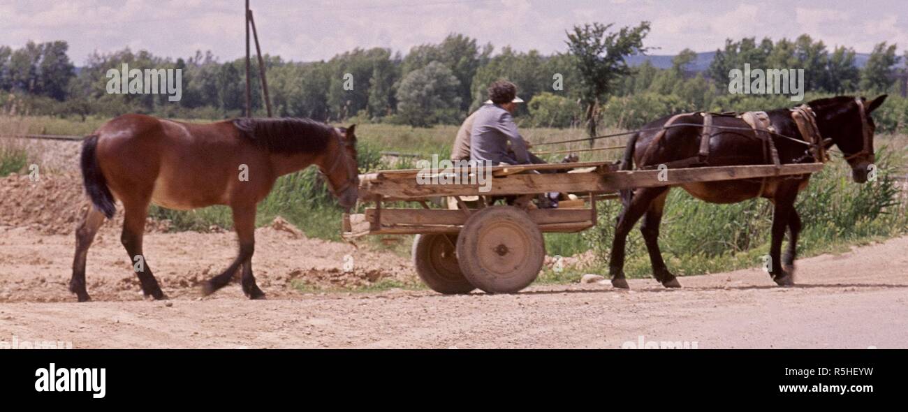 Carro caballo caballo hi-res stock photography and images - Alamy