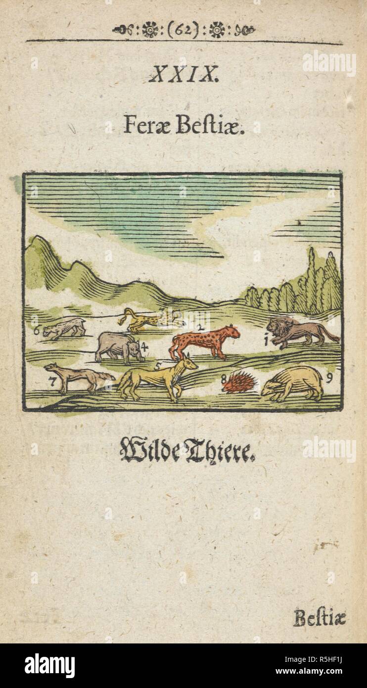Colour woodcut showing types of wild animals. Orbis sensualium pictus ...