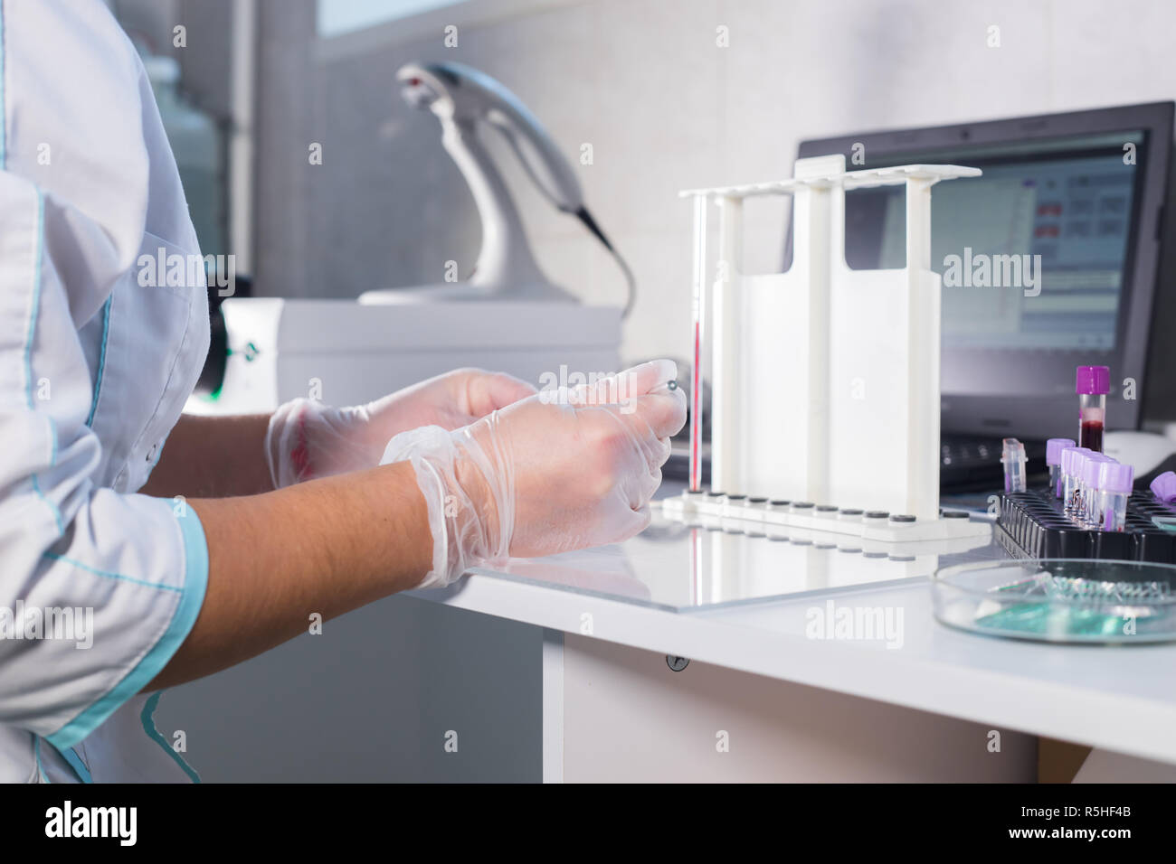 Medical clinic. Nurse at her workplace working with blood sample Stock ...