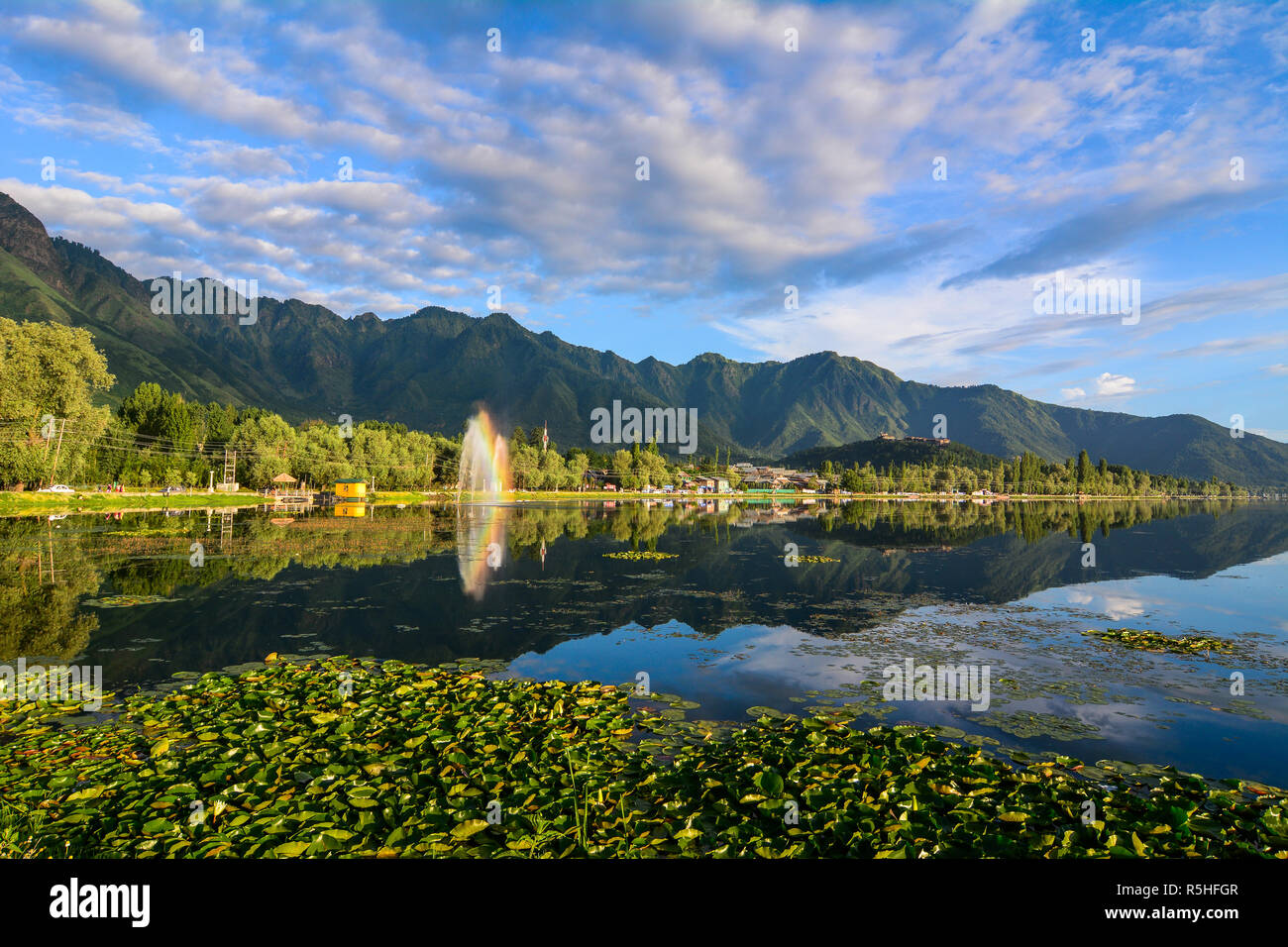 Beautiful landscape of Dal Lake in Srinagar, India. Dal Lake, situated ...