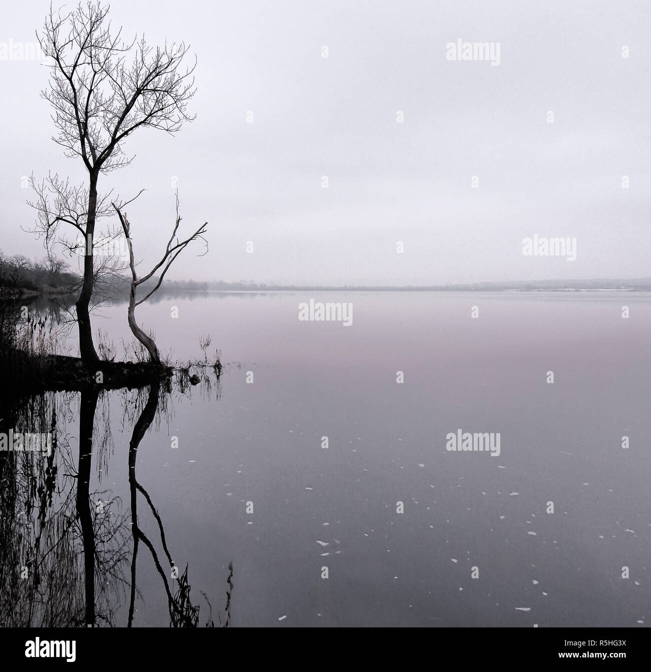 Stark landscape hi-res stock photography and images - Alamy