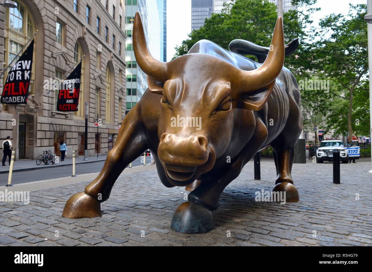 Bull in Lower Manhattan, New York, NY, USA Stock Photo - Alamy