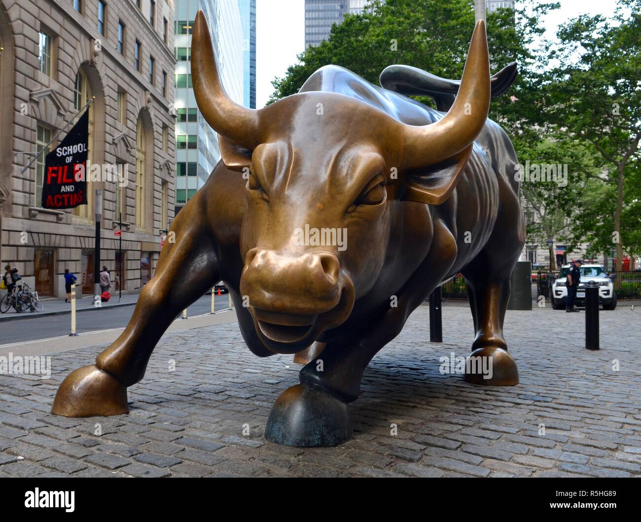 Bull in Lower Manhattan, New York, NY, USA Stock Photo - Alamy