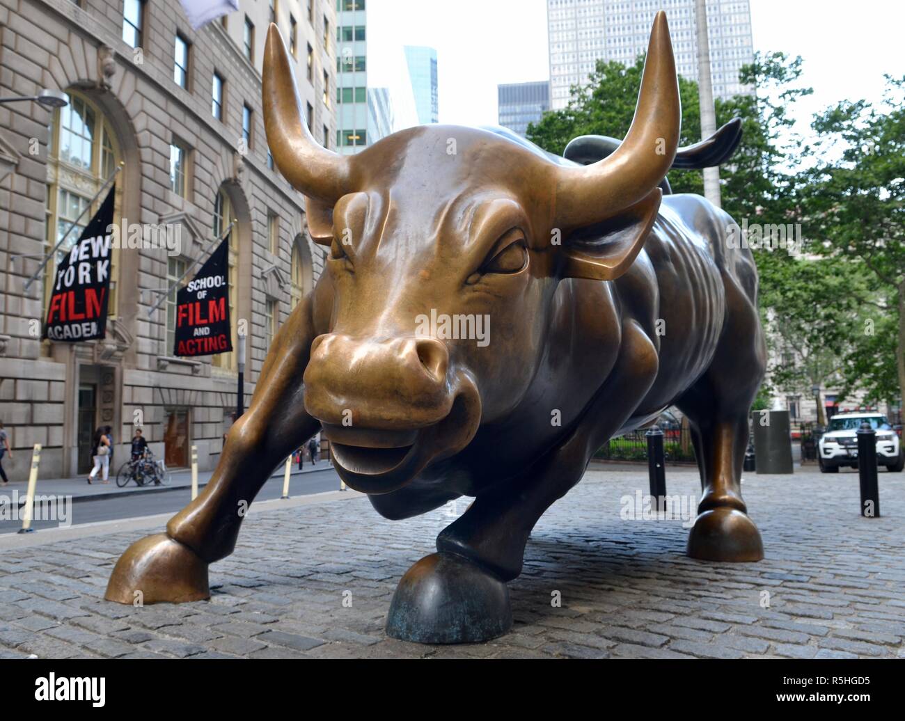 Bull in Lower Manhattan, New York, NY, USA Stock Photo - Alamy
