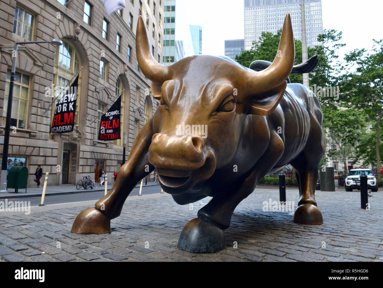 Bull in Lower Manhattan, New York, NY, USA Stock Photo - Alamy