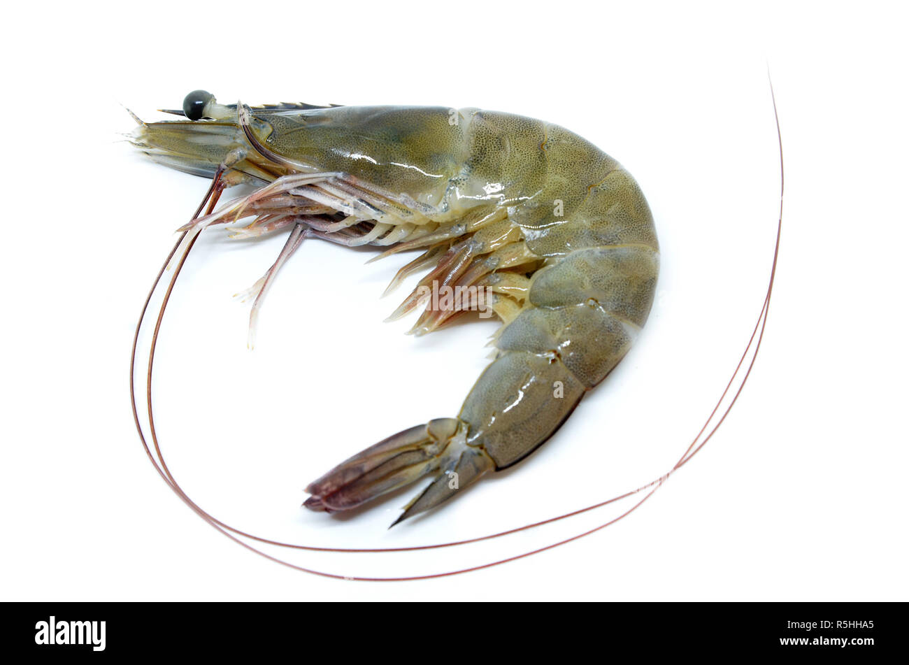 Big prawns prawn Cut Out Stock Images & Pictures - Alamy