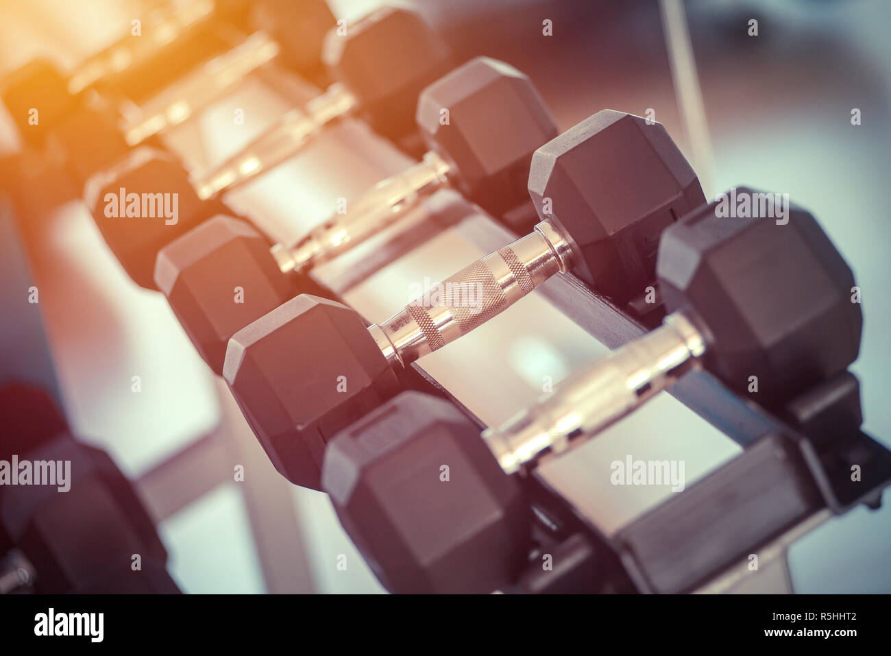 dumbbells in the gym at sports club for exercise and Bodybuilding Stock ...