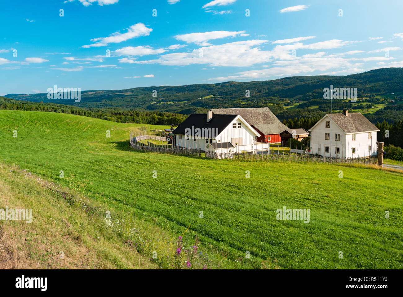 Norway country houses. Meadows and mountains Stock Photo - Alamy
