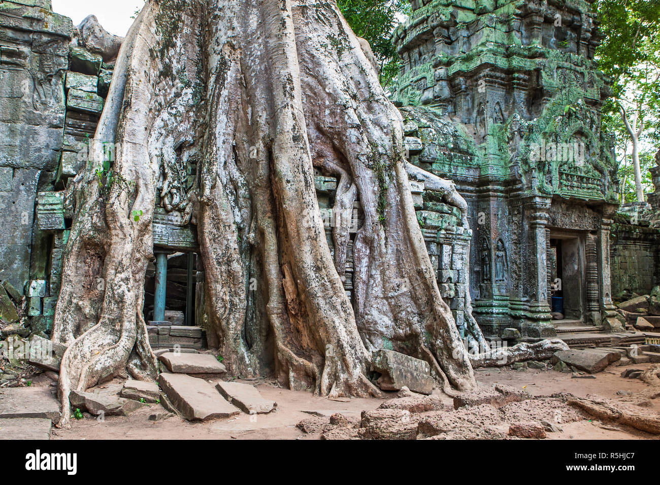 ta phrom at angkor wat,cambodia Stock Photo - Alamy