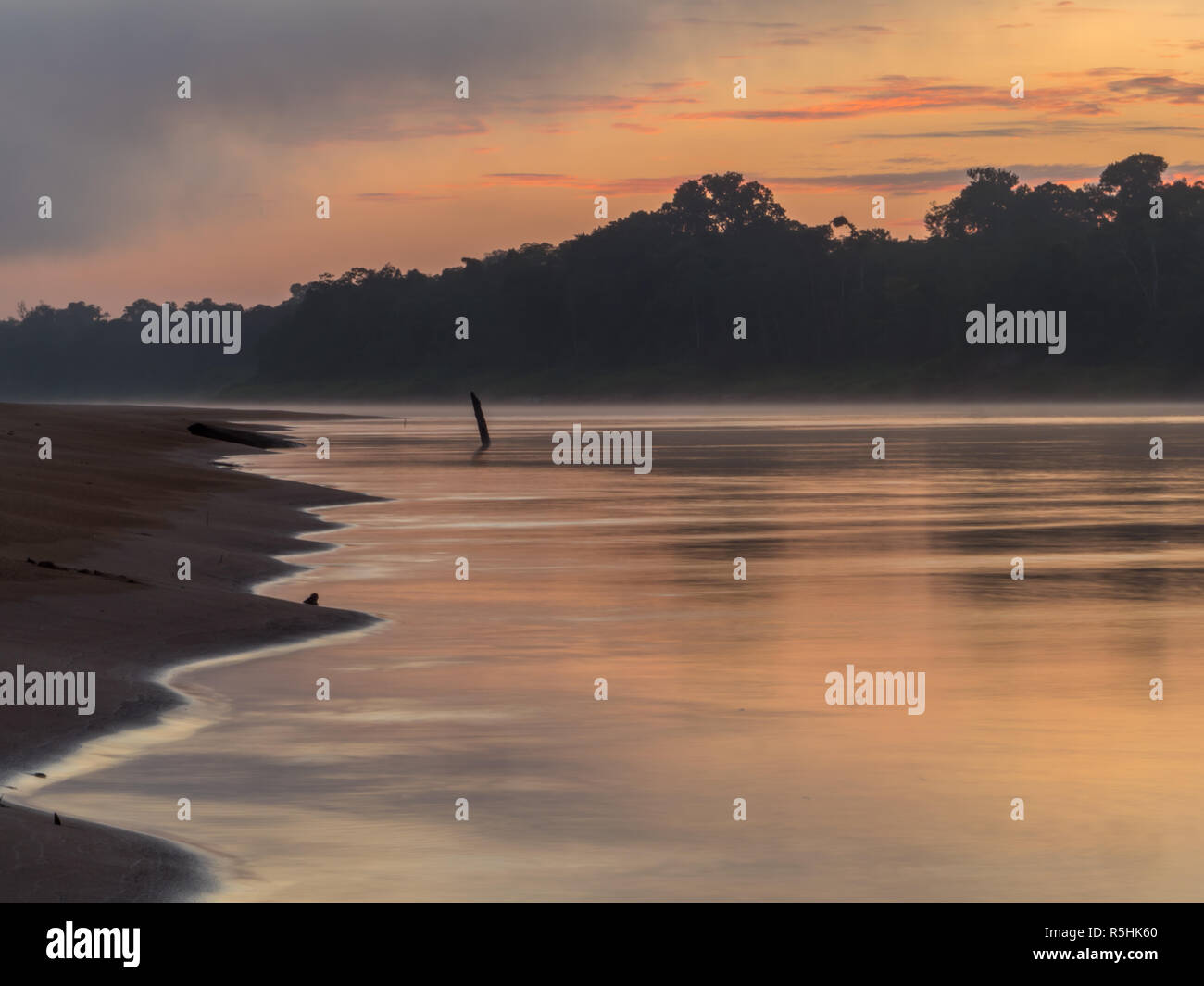Sunrise over the Javarii river, tributary of the Amazon. Sandy beach in ...