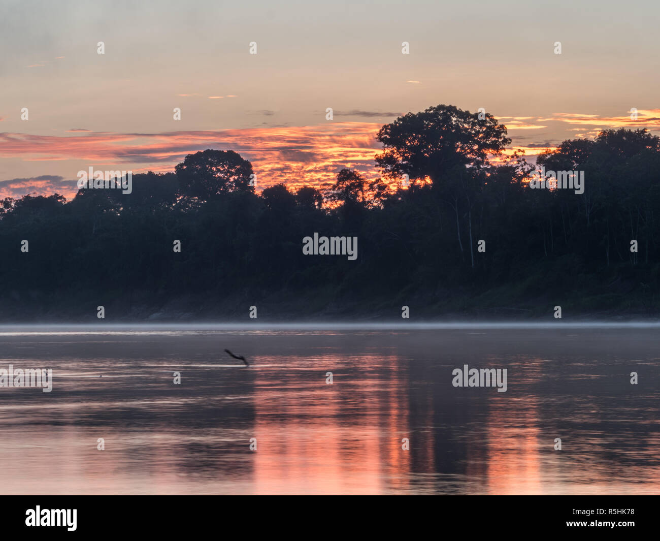 Sunrise over the Javarii river, tributary of the Amazon. Sandy beach in ...
