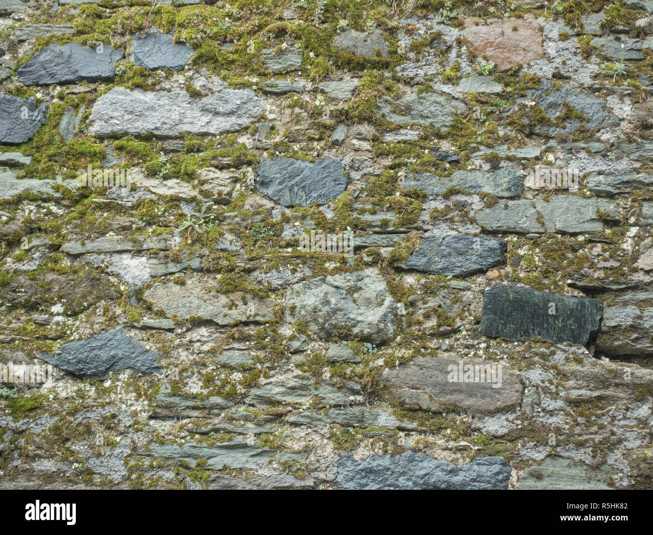 Closeup of colorful crumbling brick wall with moss growing in the ...