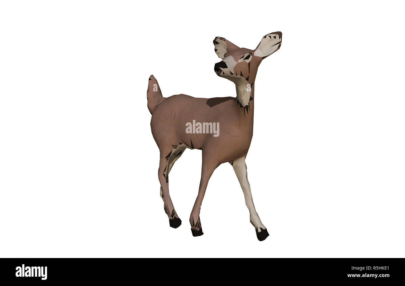 Roe deer fawn Cut Out Stock Images & Pictures - Alamy