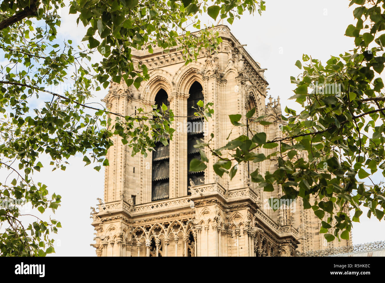 Detail of the architecture of Notre-Dame Cathedral Stock Photo - Alamy