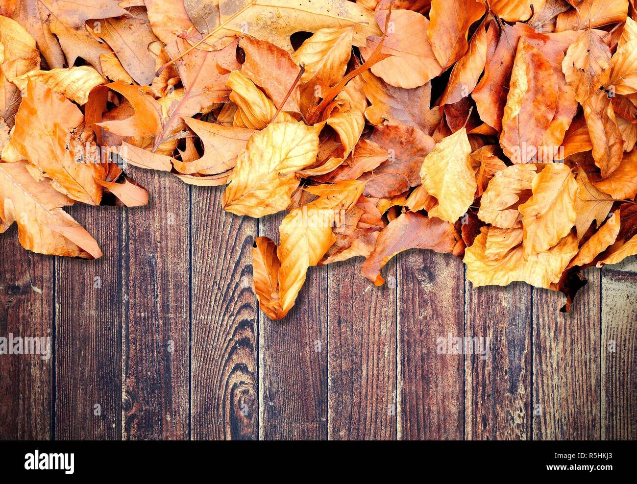 Autumn leaves on wood background Stock Photo - Alamy