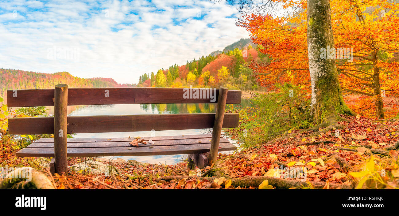 Wooden bench in an autumn landscape Stock Photo - Alamy