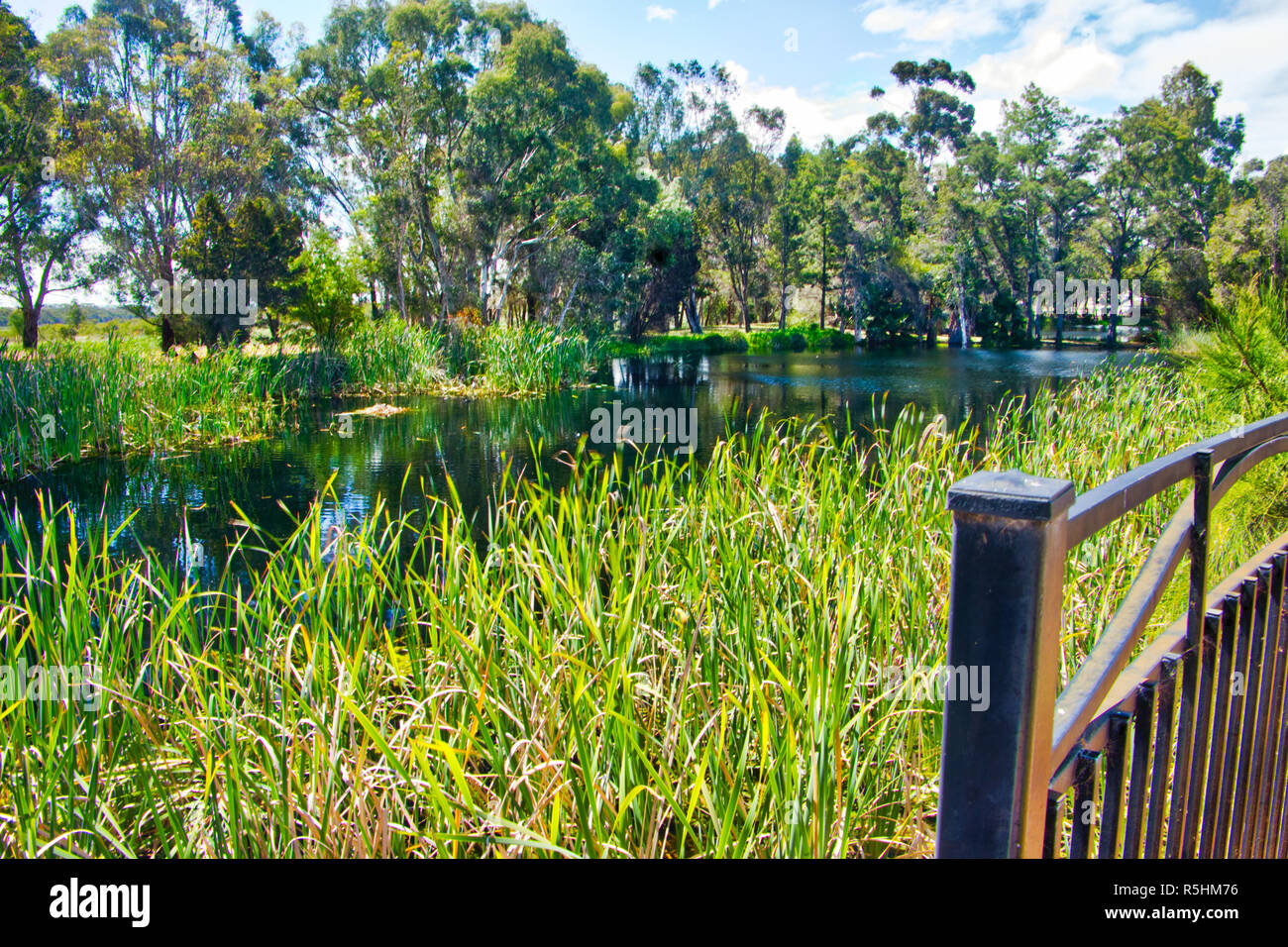 Lakes viewed from entry to Studmaster Park Stock Photo - Alamy