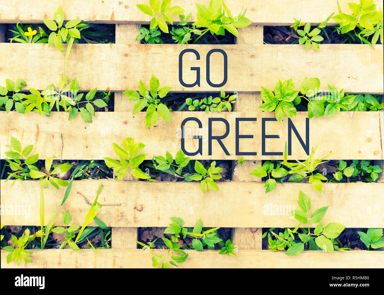 Go green concept image. green plants and wood Stock Photo - Alamy