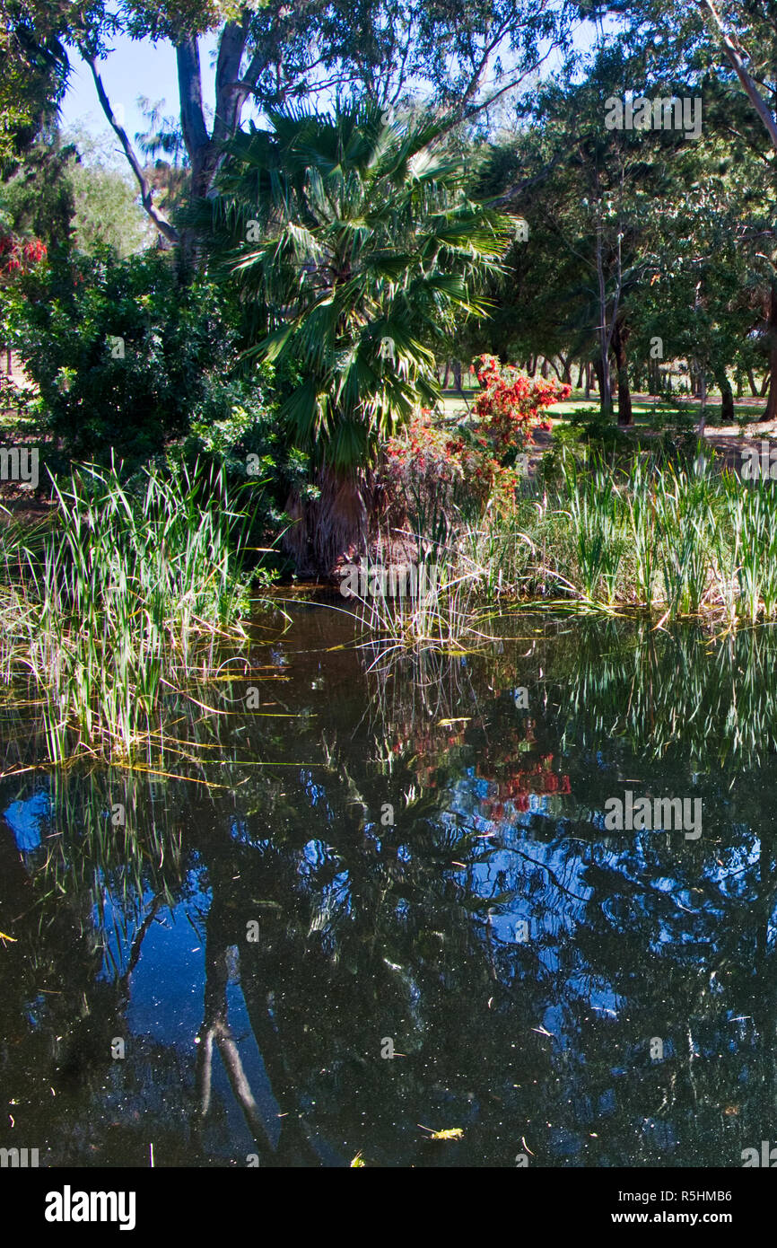 Studmaster Park lake viewed from bridge Stock Photo - Alamy
