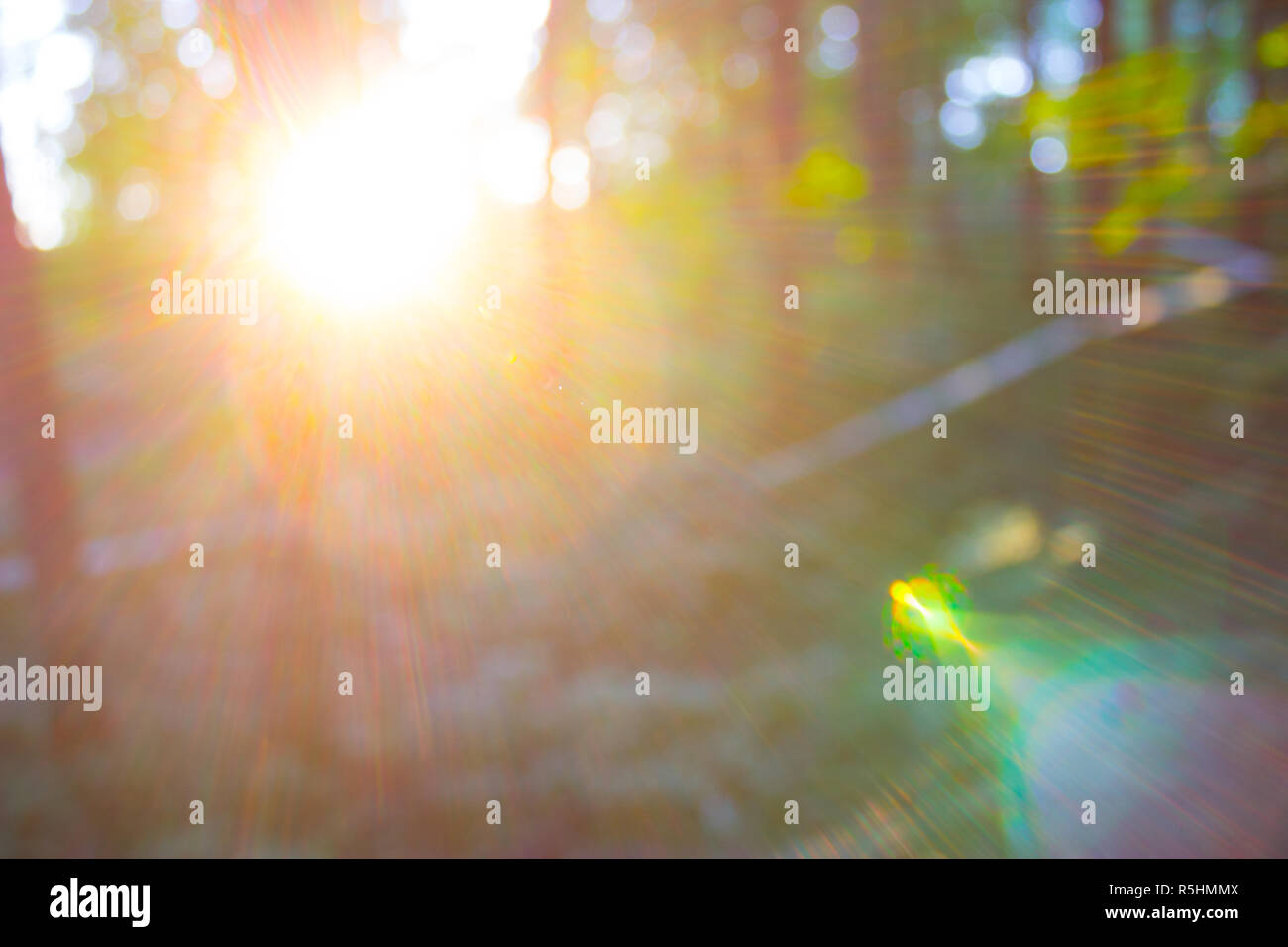 Blur nature green park with bokeh sun light abstract background Stock ...