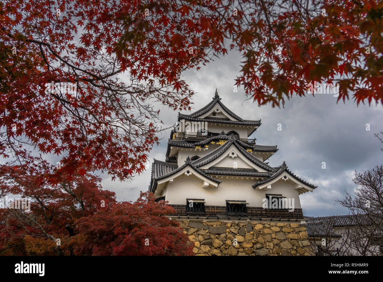 Autumn at Hikone Castle. Hikone castle is 1 of 12 original castles in ...