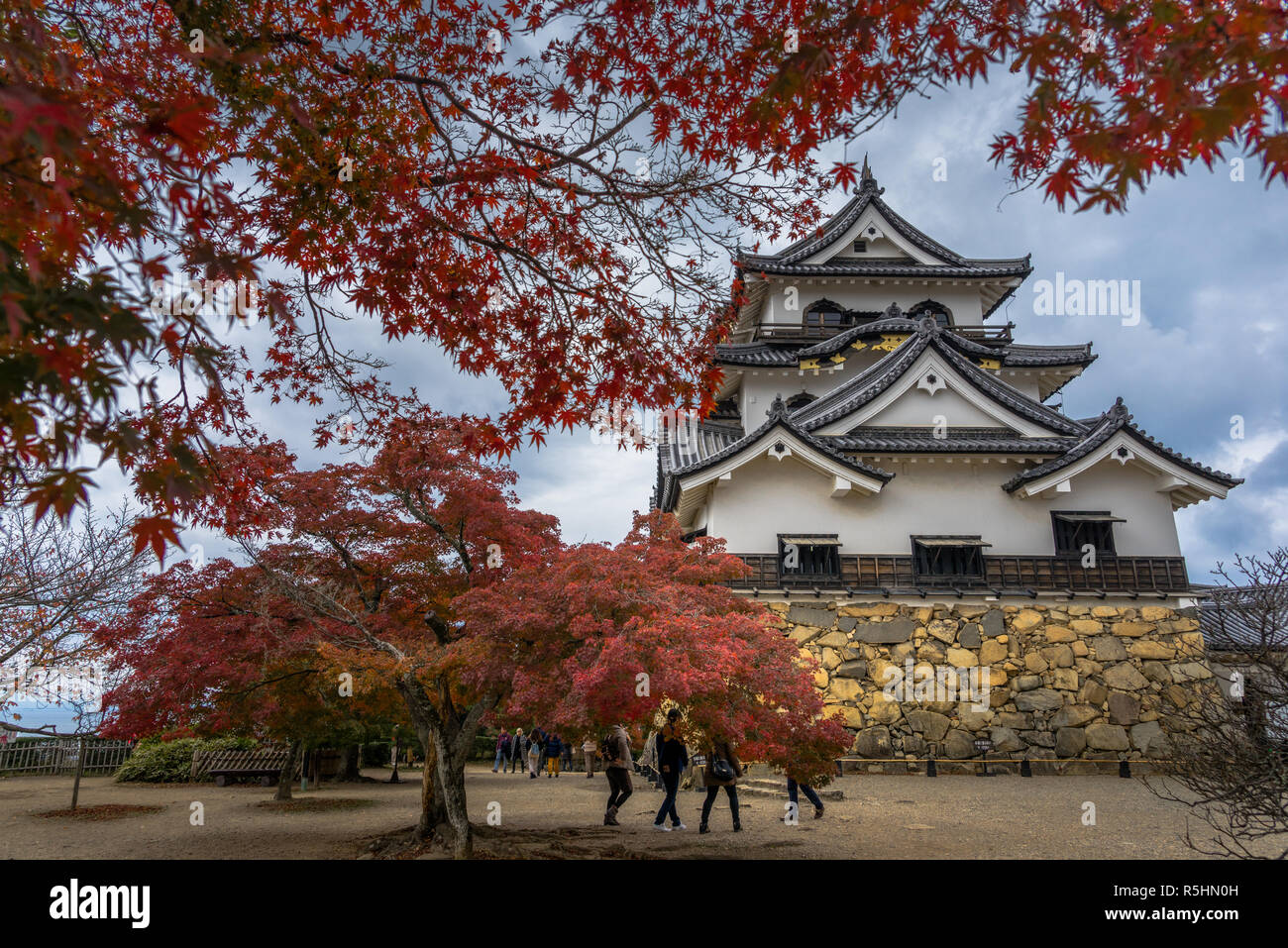 Autumn at Hikone Castle. Hikone castle is 1 of 12 original castles in ...