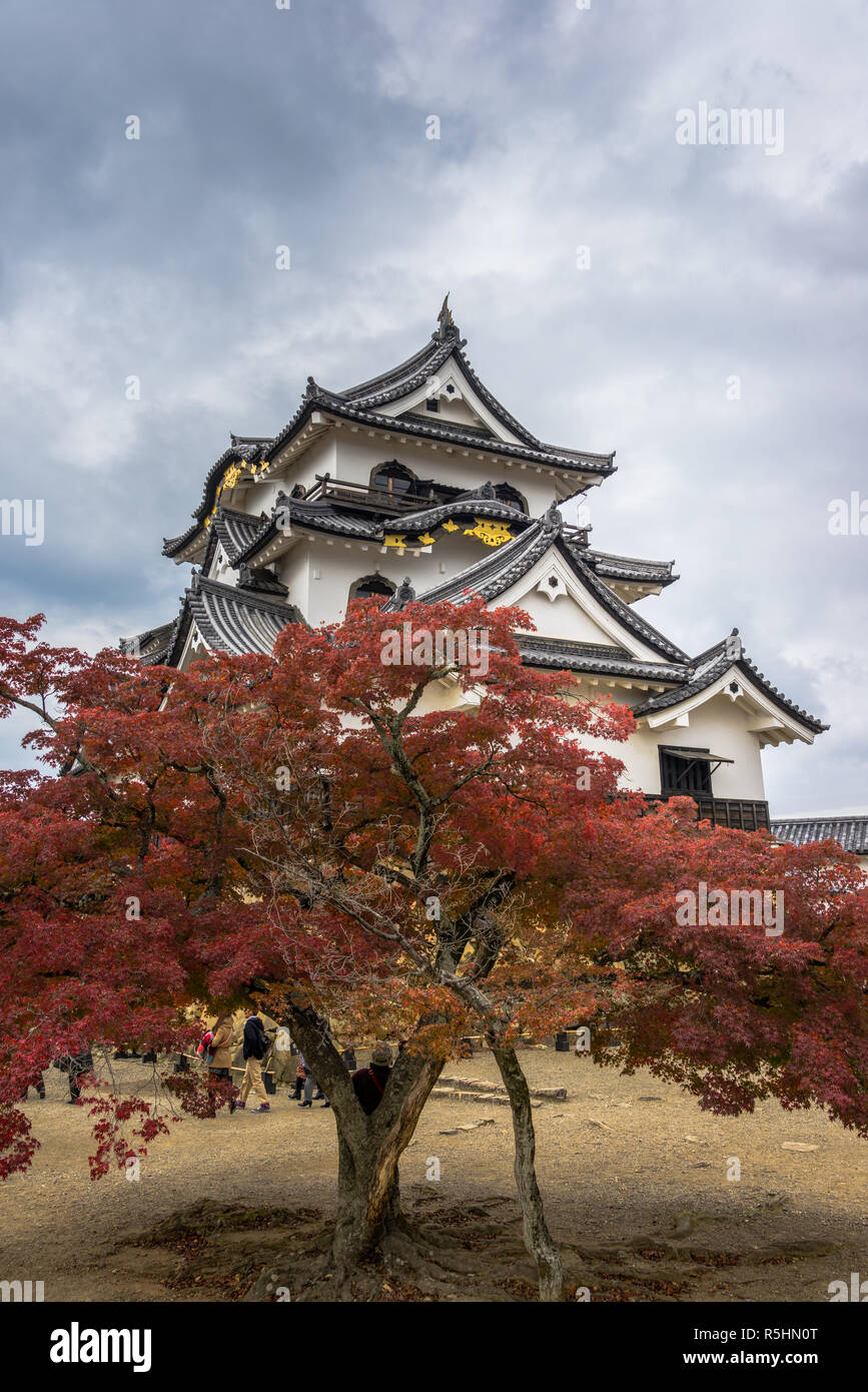 Autumn at Hikone Castle. Hikone castle is 1 of 12 original castles in ...