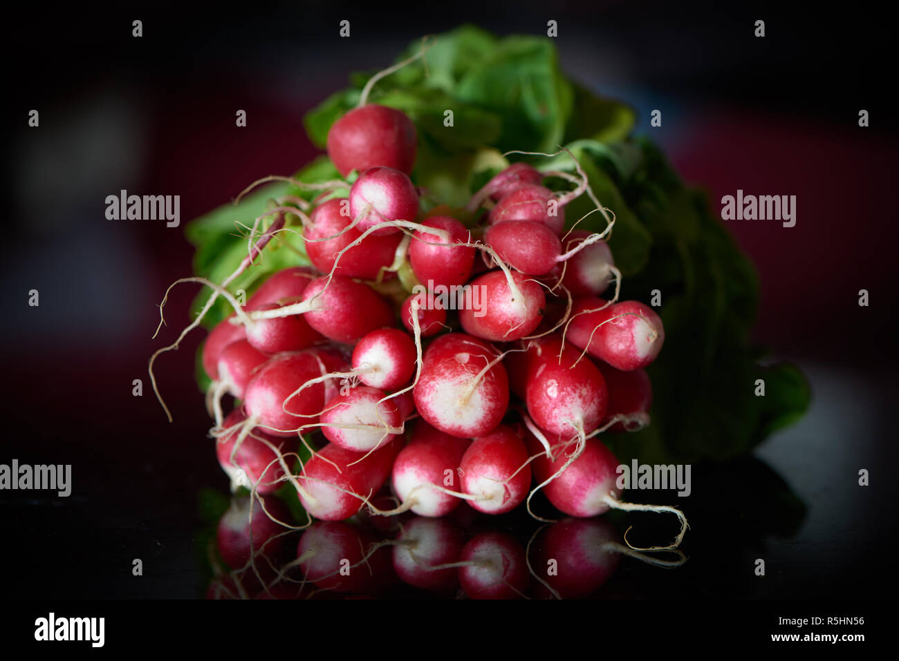 Red raddish hi-res stock photography and images - Alamy