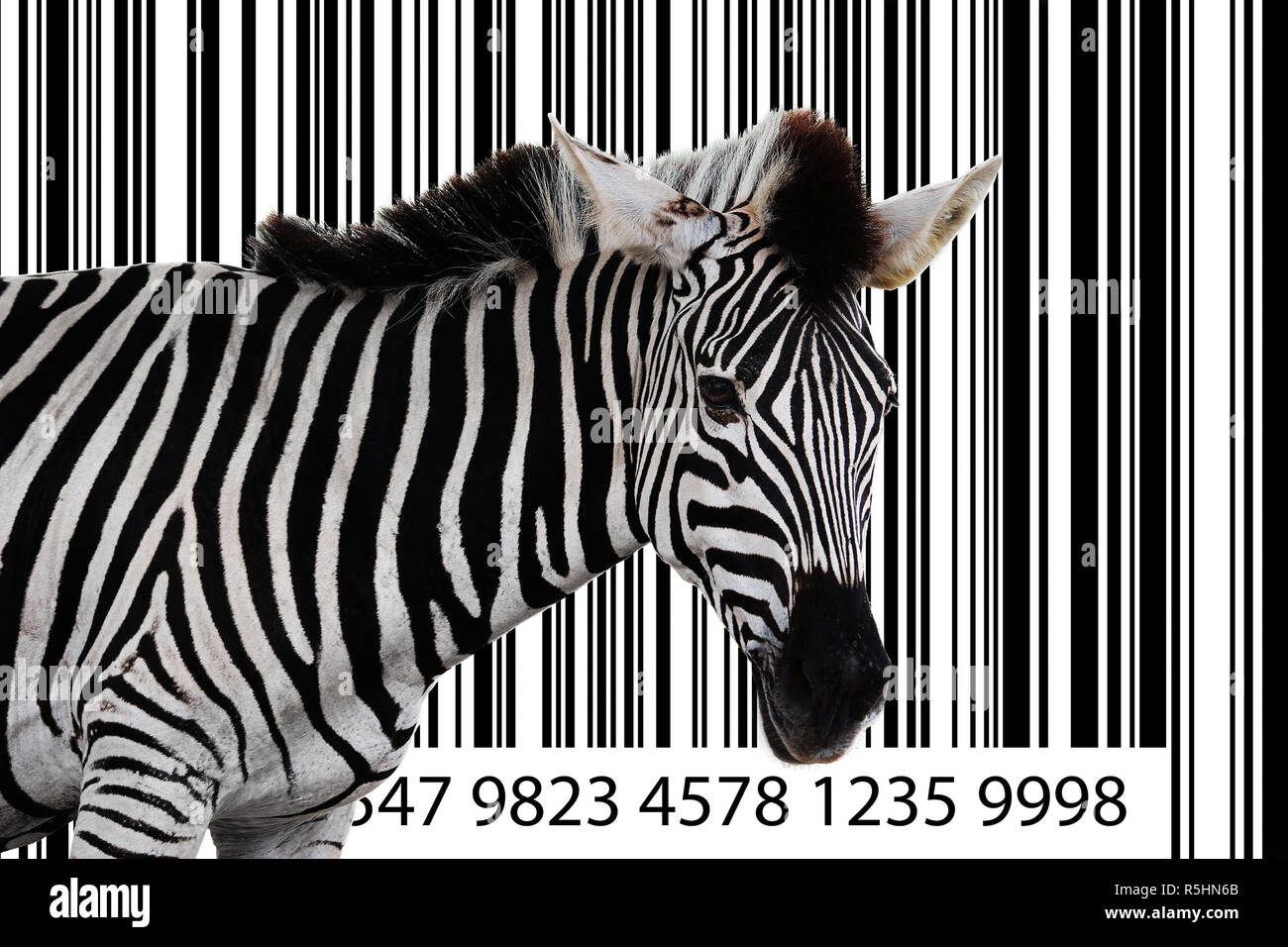 Business abstract barcode hi-res stock photography and images - Alamy