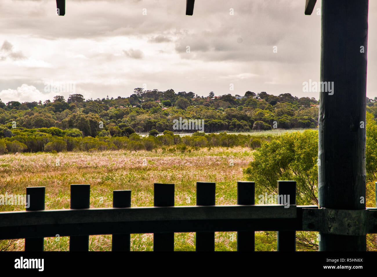 -View Wesn from lookout in Studmaster Park to Rush-clogged lake Stock ...