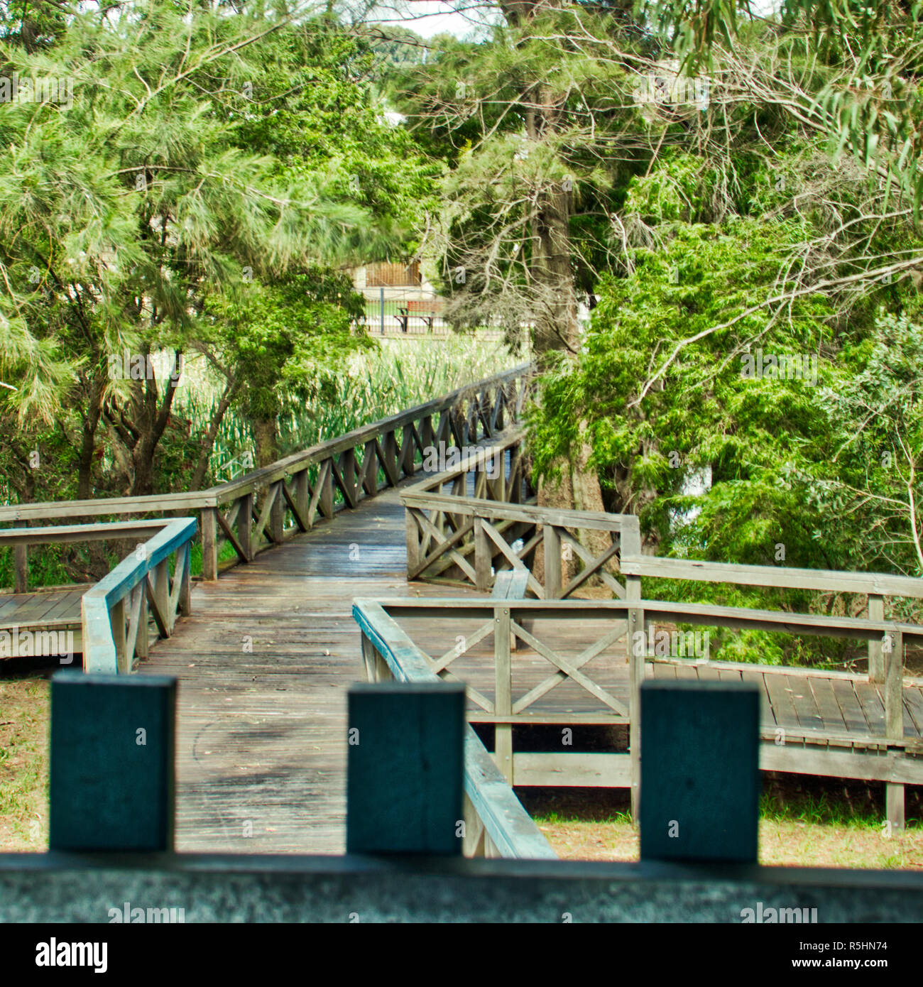 View East from Studmaster Park lookout Stock Photo - Alamy
